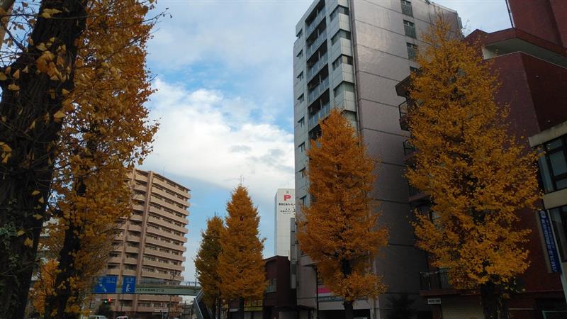 12月12日|ポンコちゅのブログ|ポンコちゅ日記(^^♪ - みんカラ 12月12日|ポンコちゅのブログ|ポンコちゅ日記(^^♪ - みんカラ